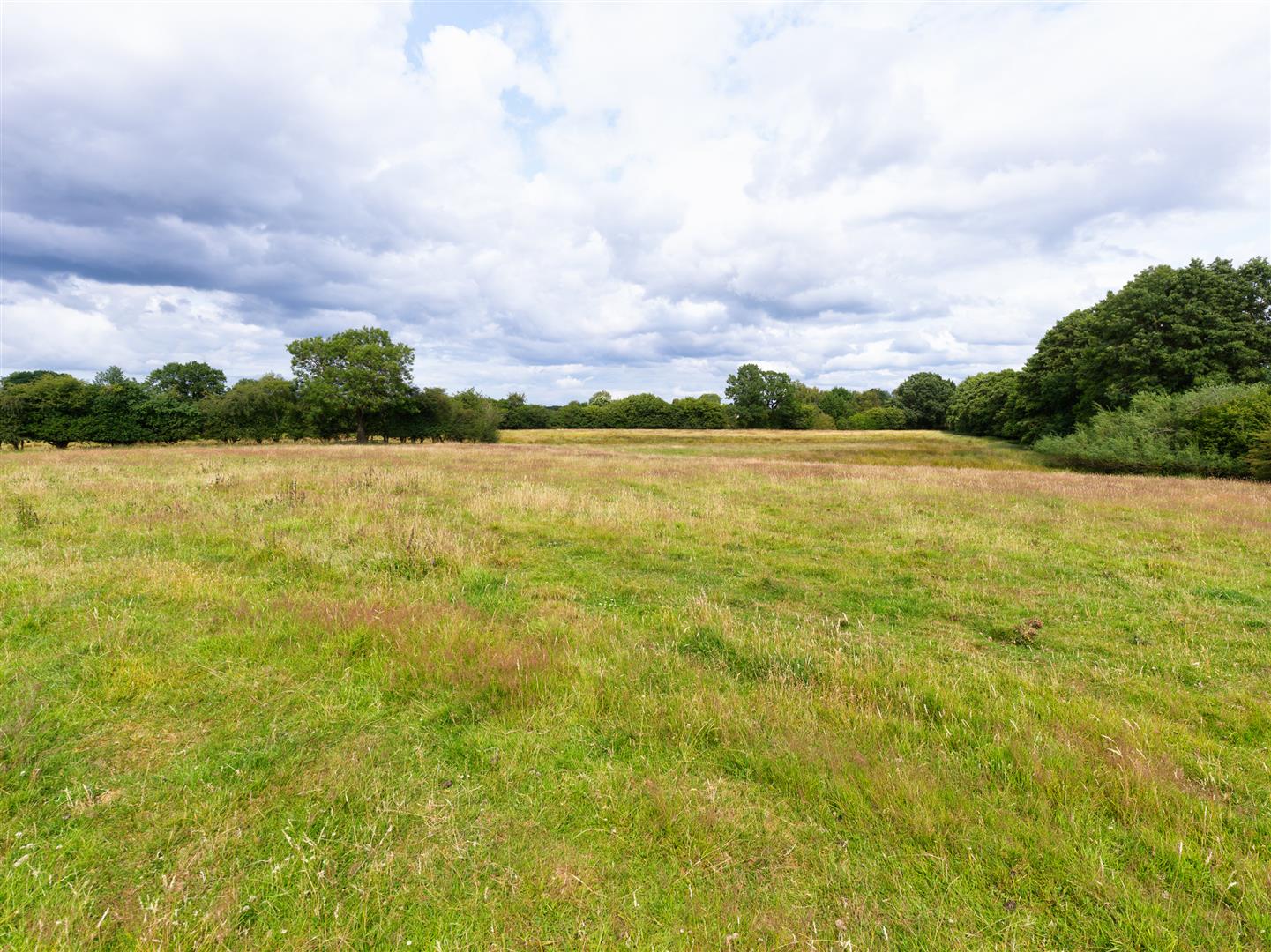 Beech Tree Farm, Whitchurch, SY13 3LT | Estate Agents & Auctioneers